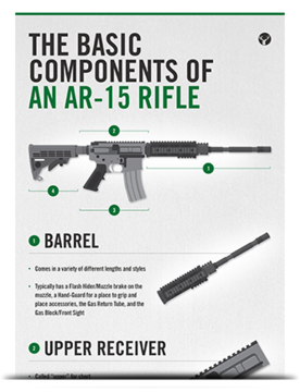 The Basic Components of an AR-15 Infographic | Stag Arms